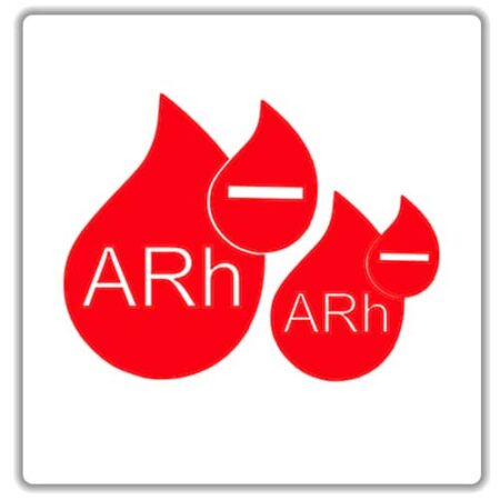 Blood Type Stickers Blood Group Vinyl Decals