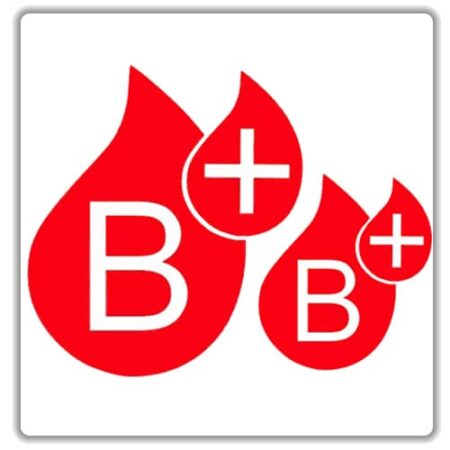 Blood Type Stickers Blood Group Vinyl Decals
