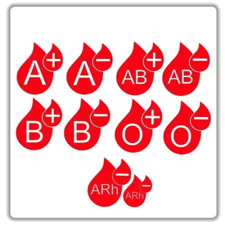 Blood Type Stickers Blood Group Vinyl Decals